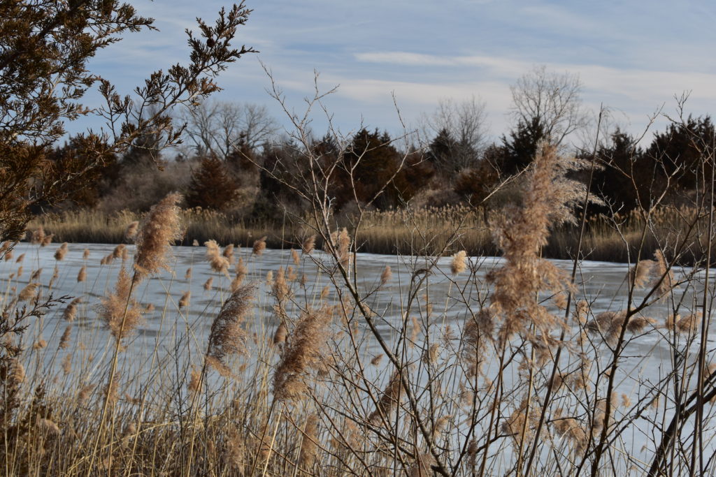 Mazon Creek Fossil Collecting March 1, 2020 - American Fossil Hunt